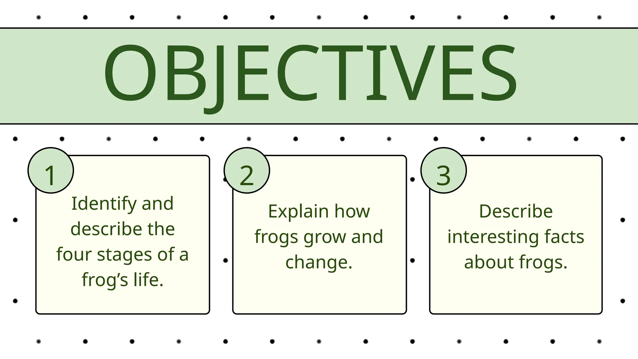 Life Cycle of a Frog Presentation 0.pptx