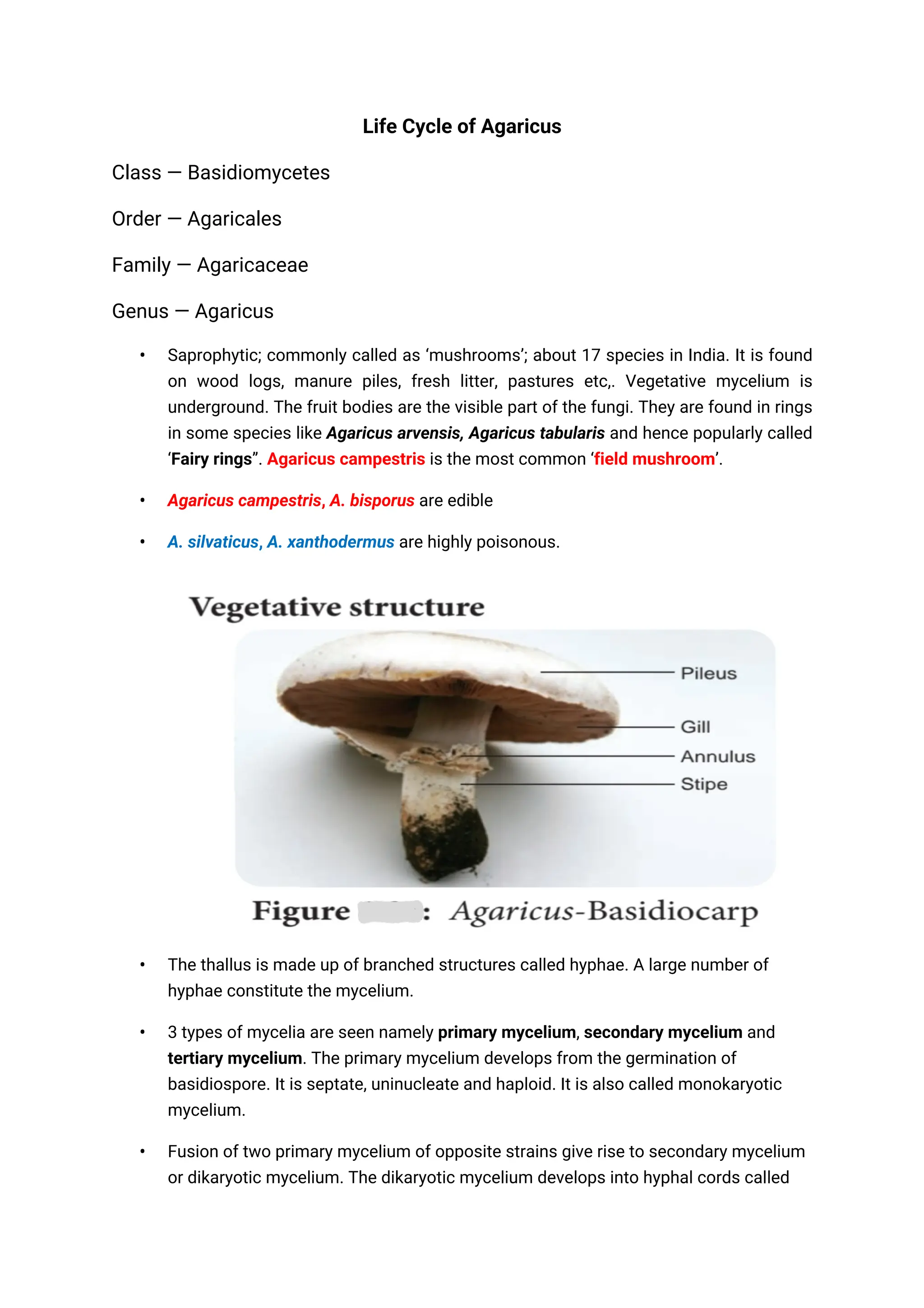 Life Cycle of Agaricus (Fungi notes).pdf
