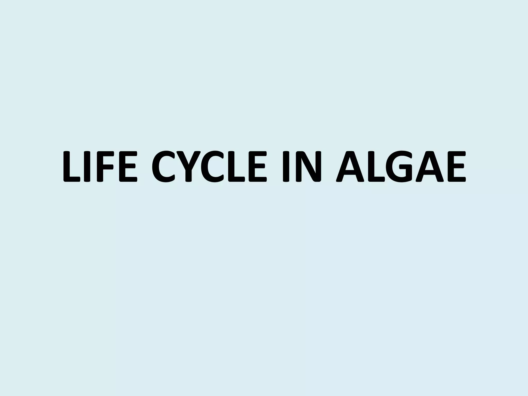 Life cycle of algae | PPTX