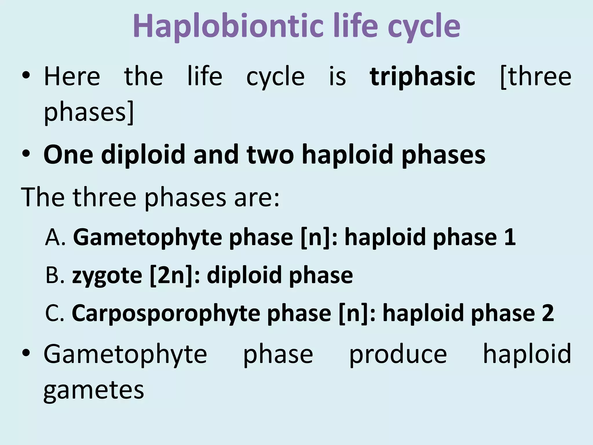 Life cycle of algae | PPTX