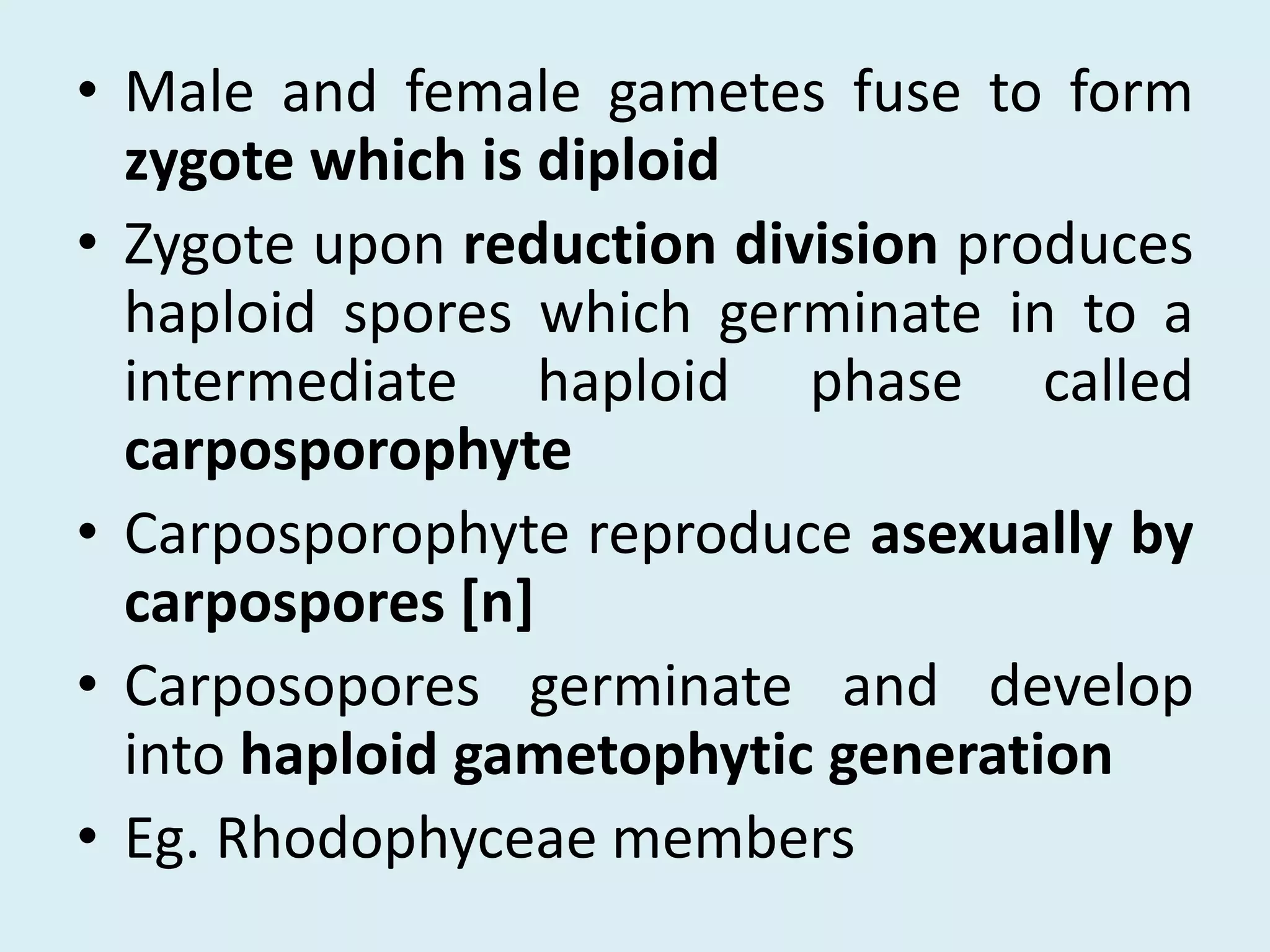 Life cycle of algae | PPTX