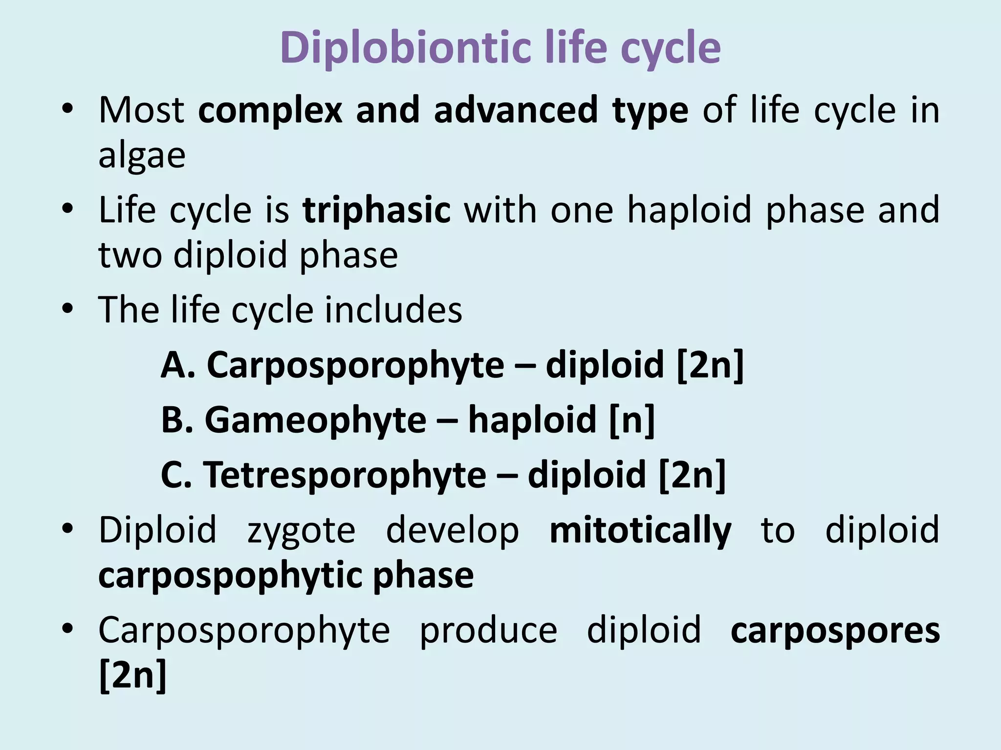 Life cycle of algae | PPTX