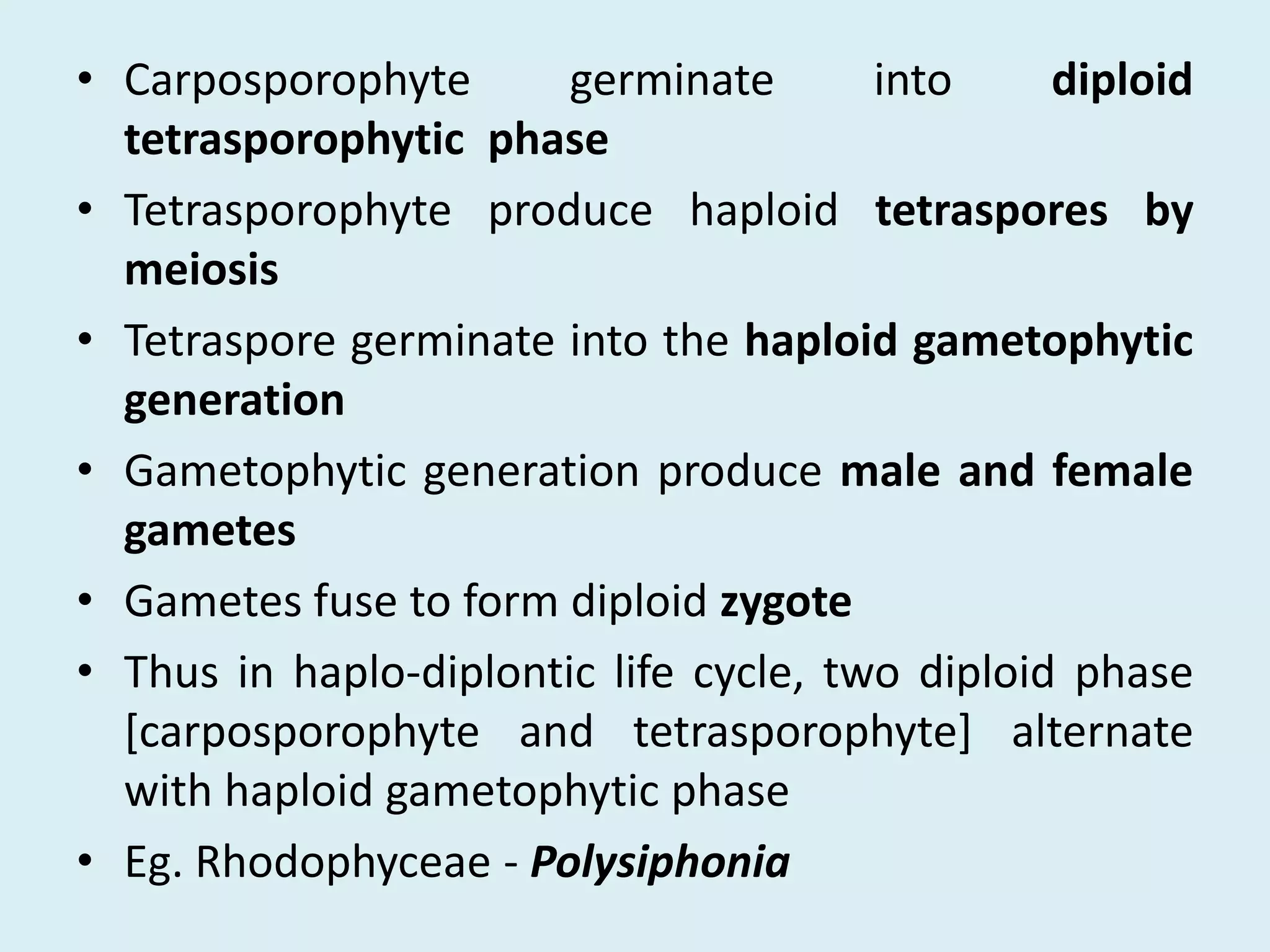 Life cycle of algae | PPTX