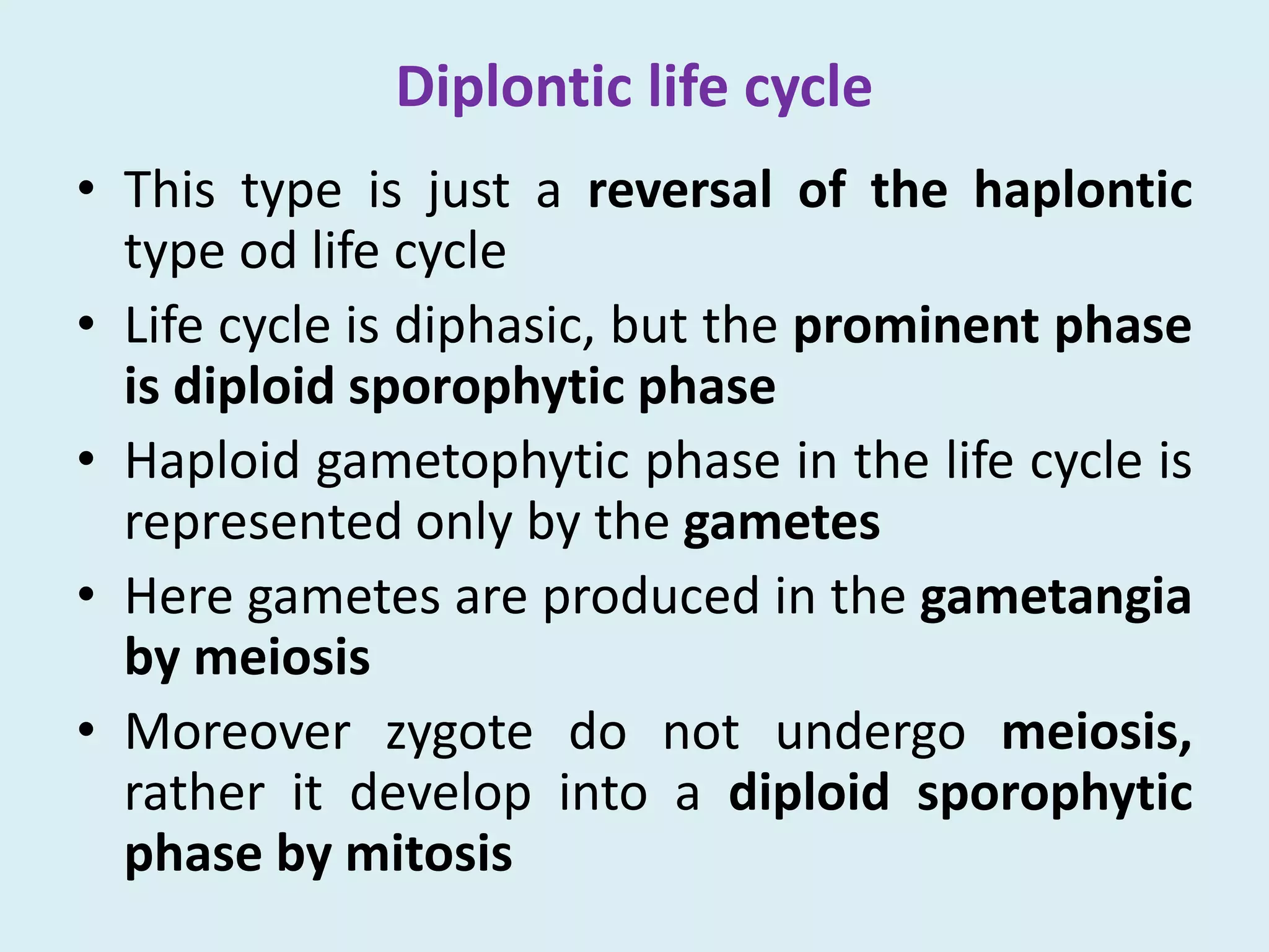 Life cycle of algae | PPTX
