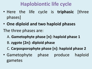 Life cycle of algae | PPTX