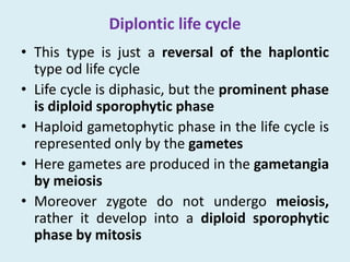 Life cycle of algae | PPTX