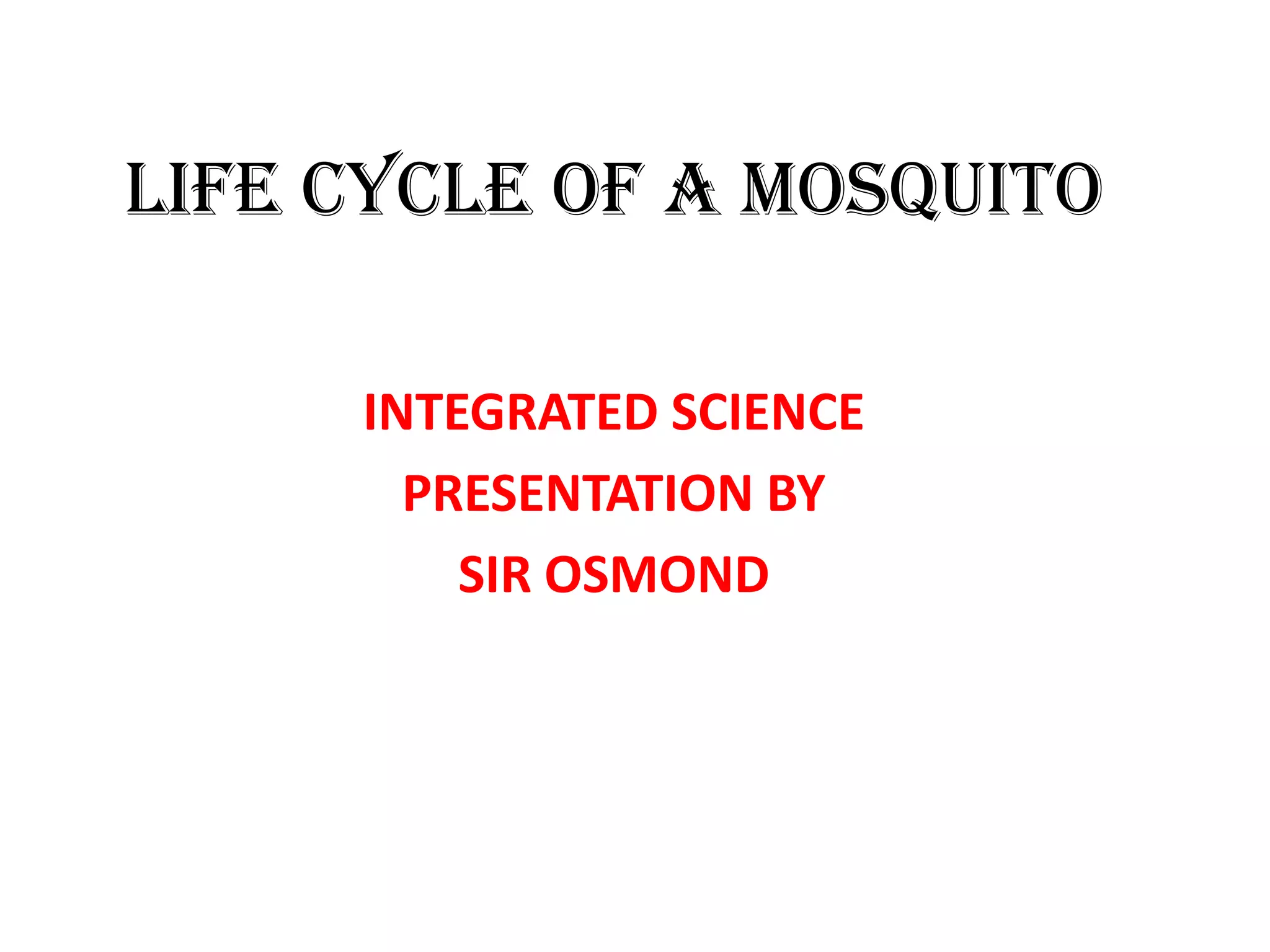Life cycle of a mosquito | PPTX
