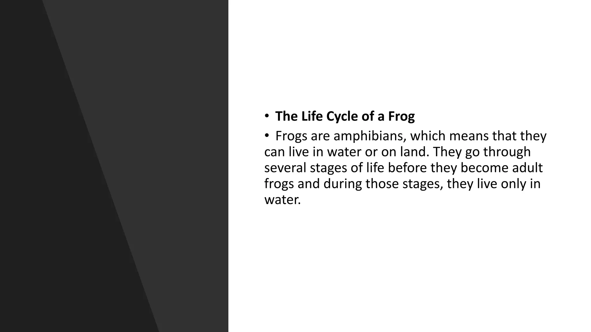 life cycle of amphibian frog.pptx
