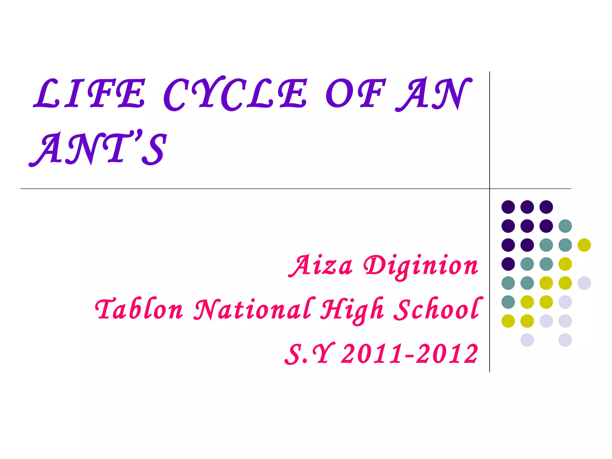 Life cycle of an ant’s | PPT