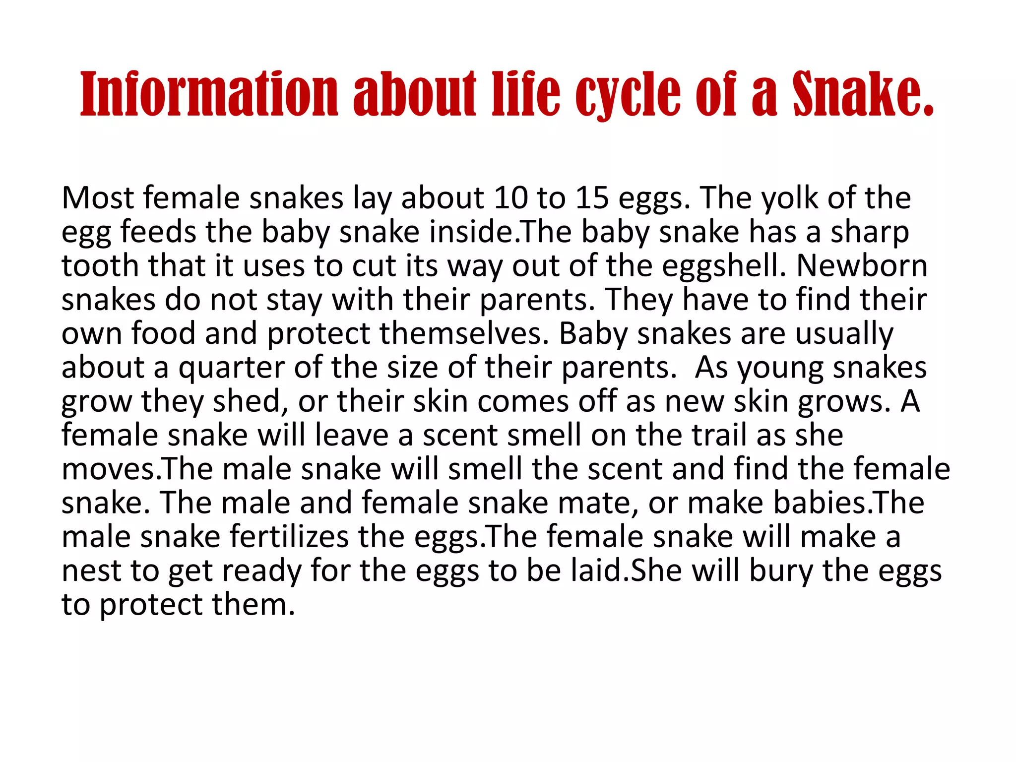 Life cycle of animals. | PPTX