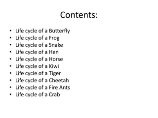 Life cycle of animals. | PPTX