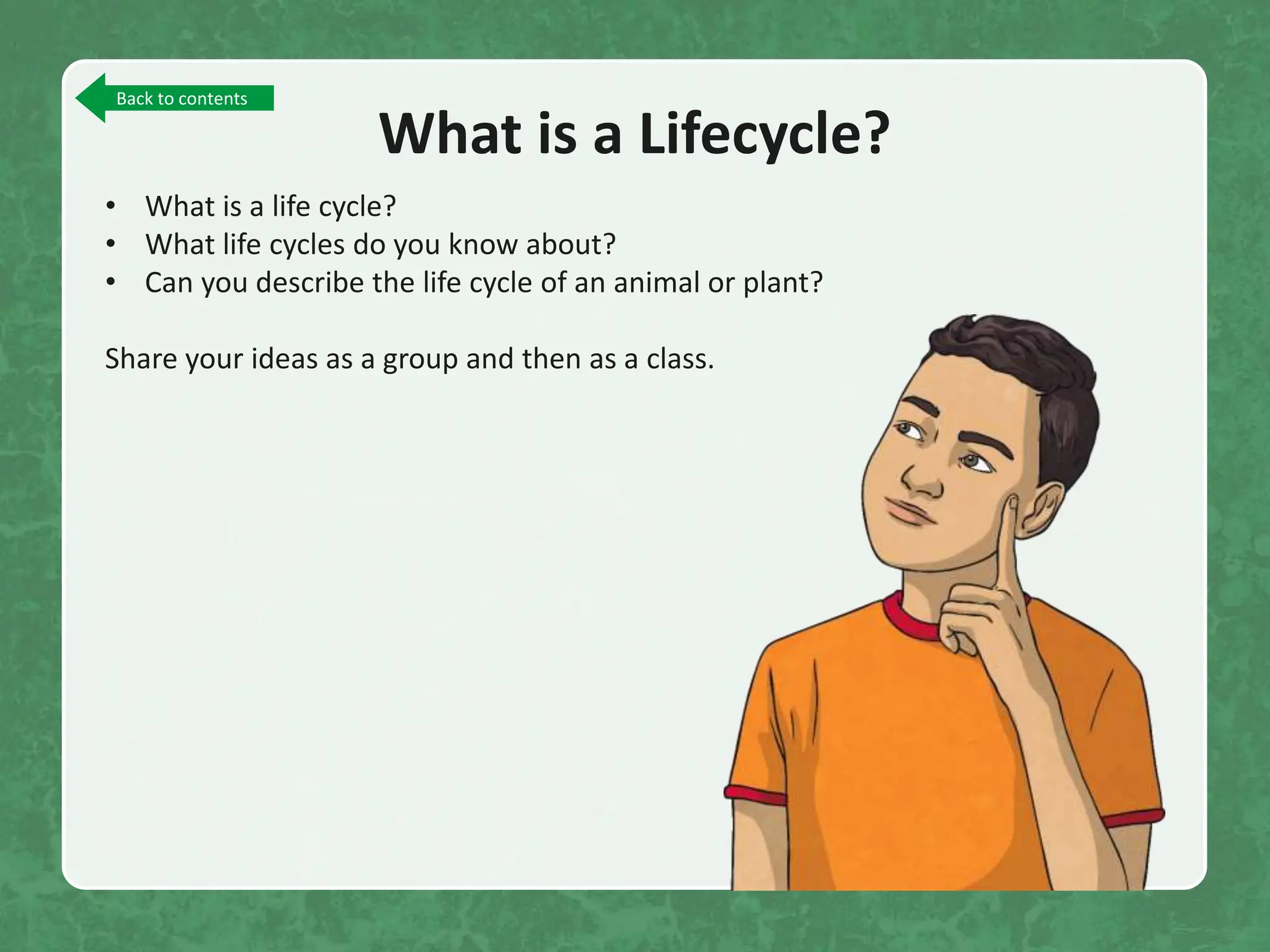 Important fact of Life cycle of animals.pptx