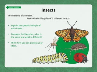 Important fact of Life cycle of animals.pptx