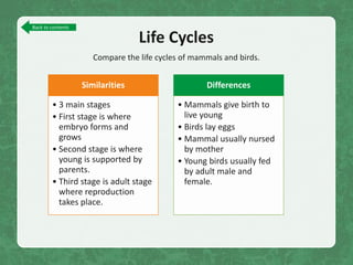 Important fact of Life cycle of animals.pptx