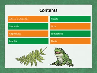 Important fact of Life cycle of animals.pptx