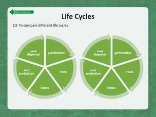 Important fact of Life cycle of animals.pptx
