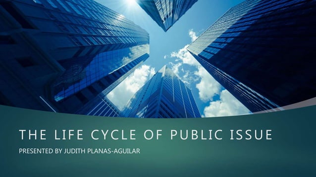 Life cycle of an issue | PPT