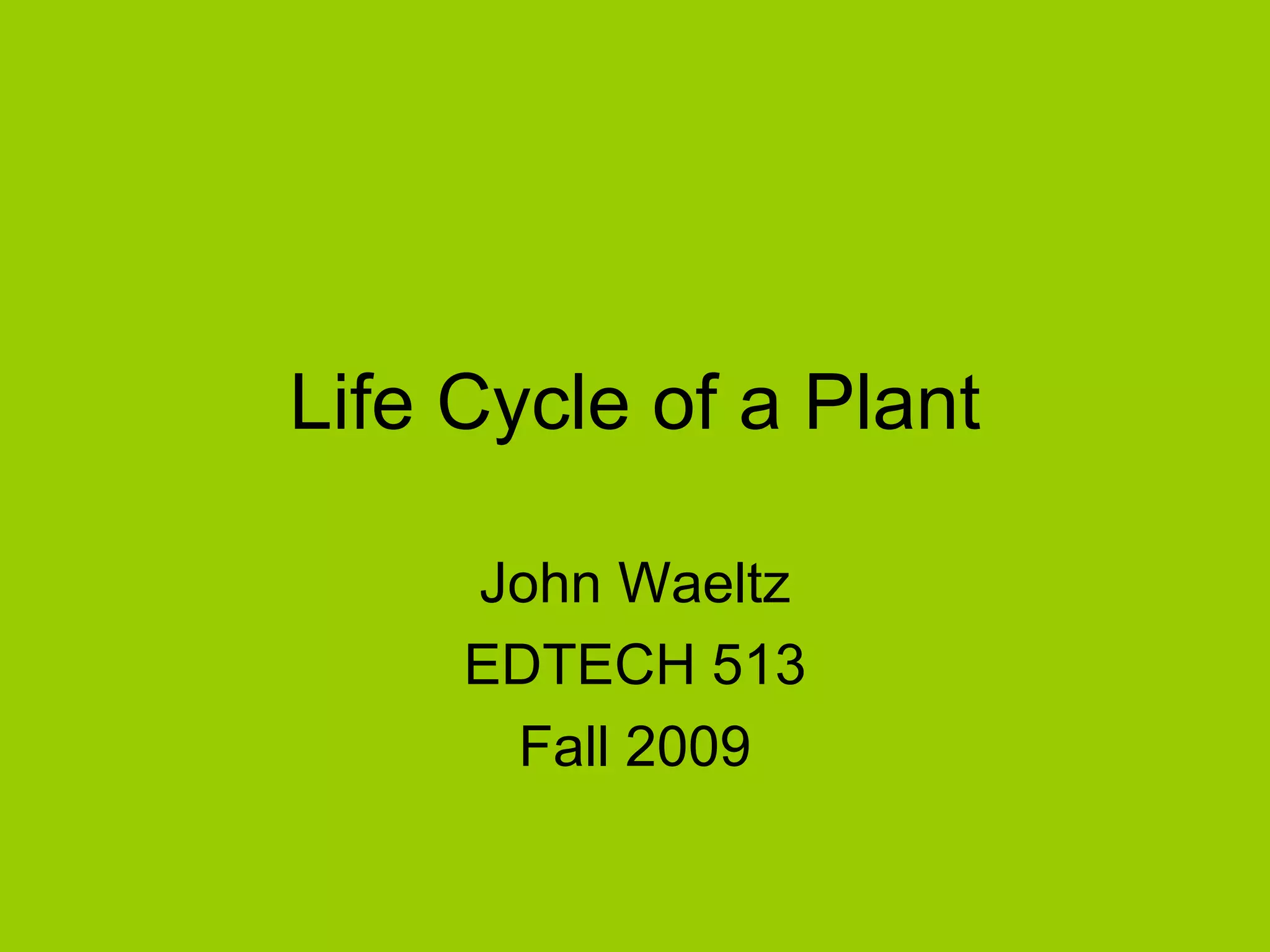 Life Cycle Of A Plant | PPT