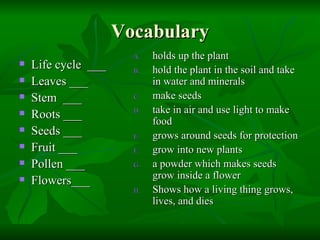 Life cycle of a plant vocabulary interactive | PPT
