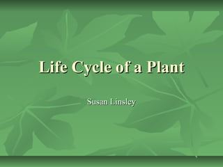 Life cycle of a plant pp1 | PPT