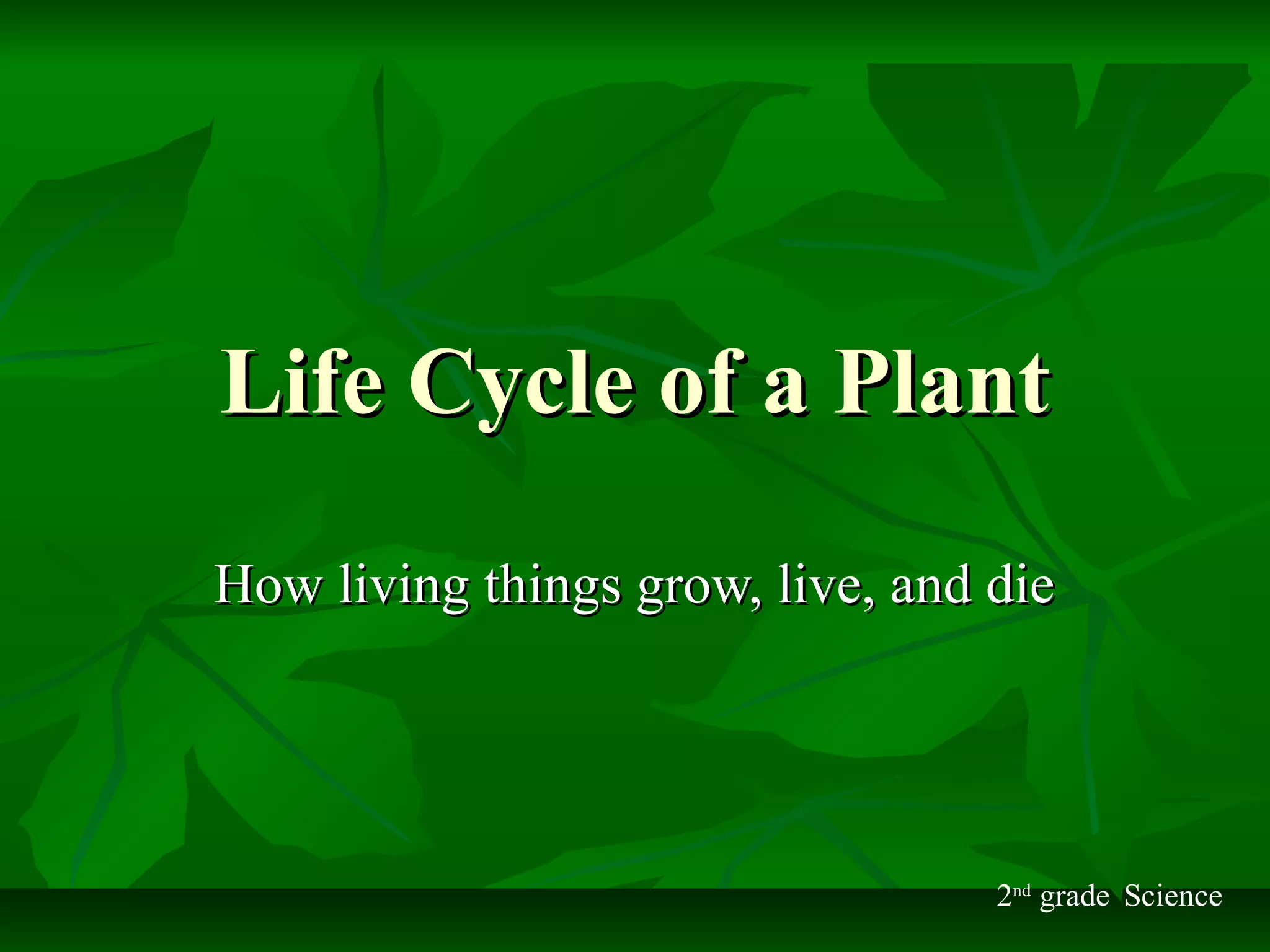 Life cycle of a plant (science) | PPT
