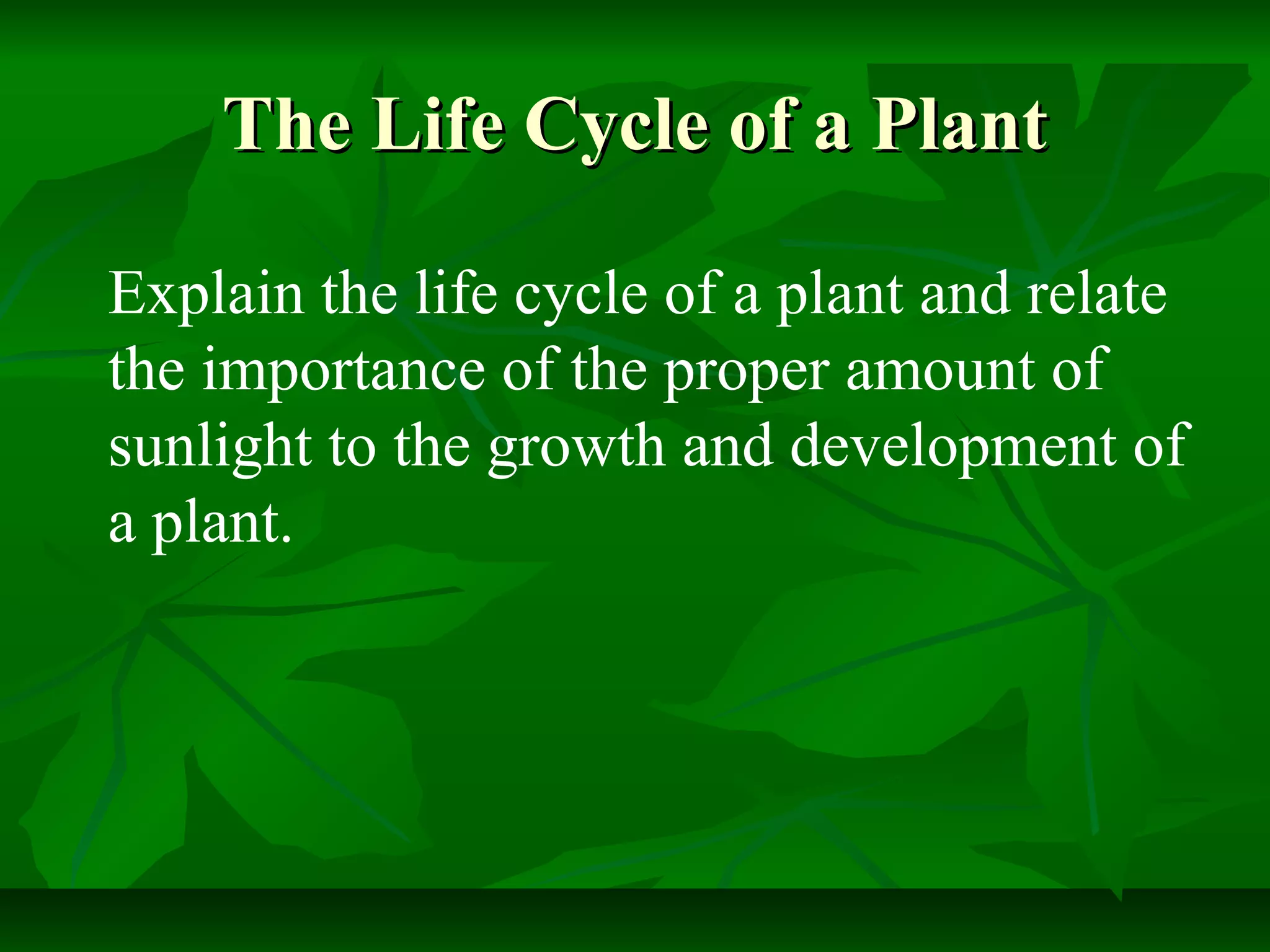 Life cycle of a plant (science) | PPT