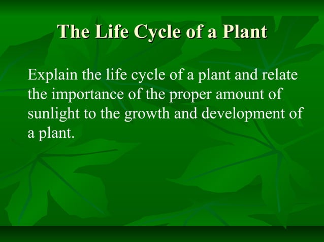 Life cycle of a plant (science) | PPT | Gardening | Home & Garden