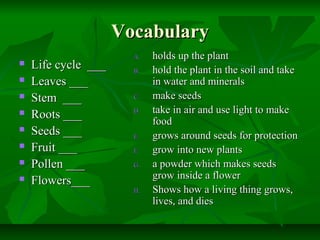Life cycle of a plant (science) | PPT