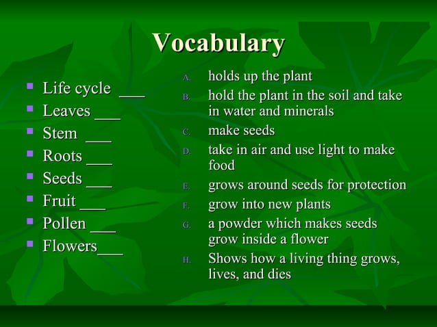 Life cycle of a plant (science) | PPT | Gardening | Home & Garden
