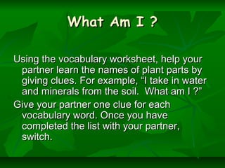 Life cycle of a plant (science) | PPT