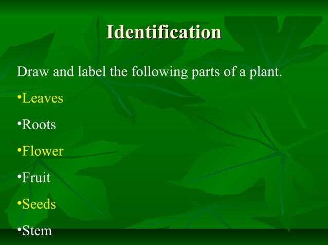 Life cycle of a plant (science) | PPT | Gardening | Home & Garden