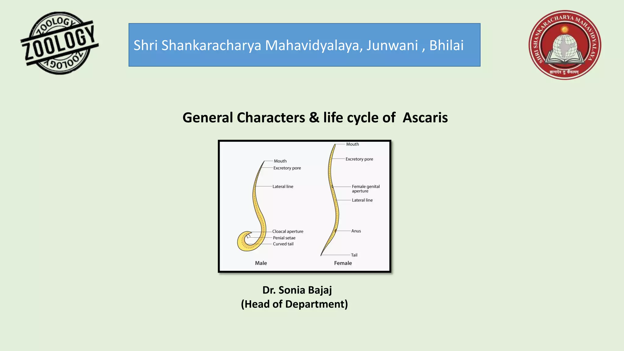 General feature of male & female Ascaris, comparison of Ascaris ,Life ...