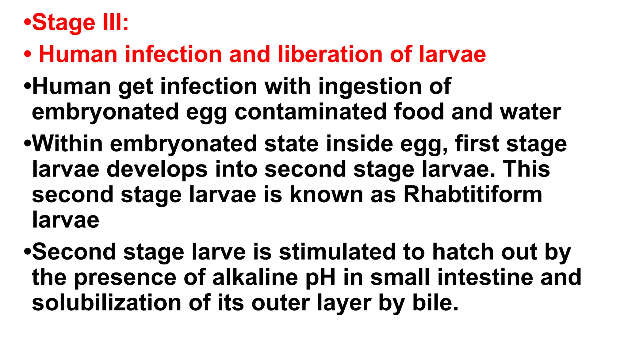 life cycle of ascaris lumbricoides.pptx.pdf