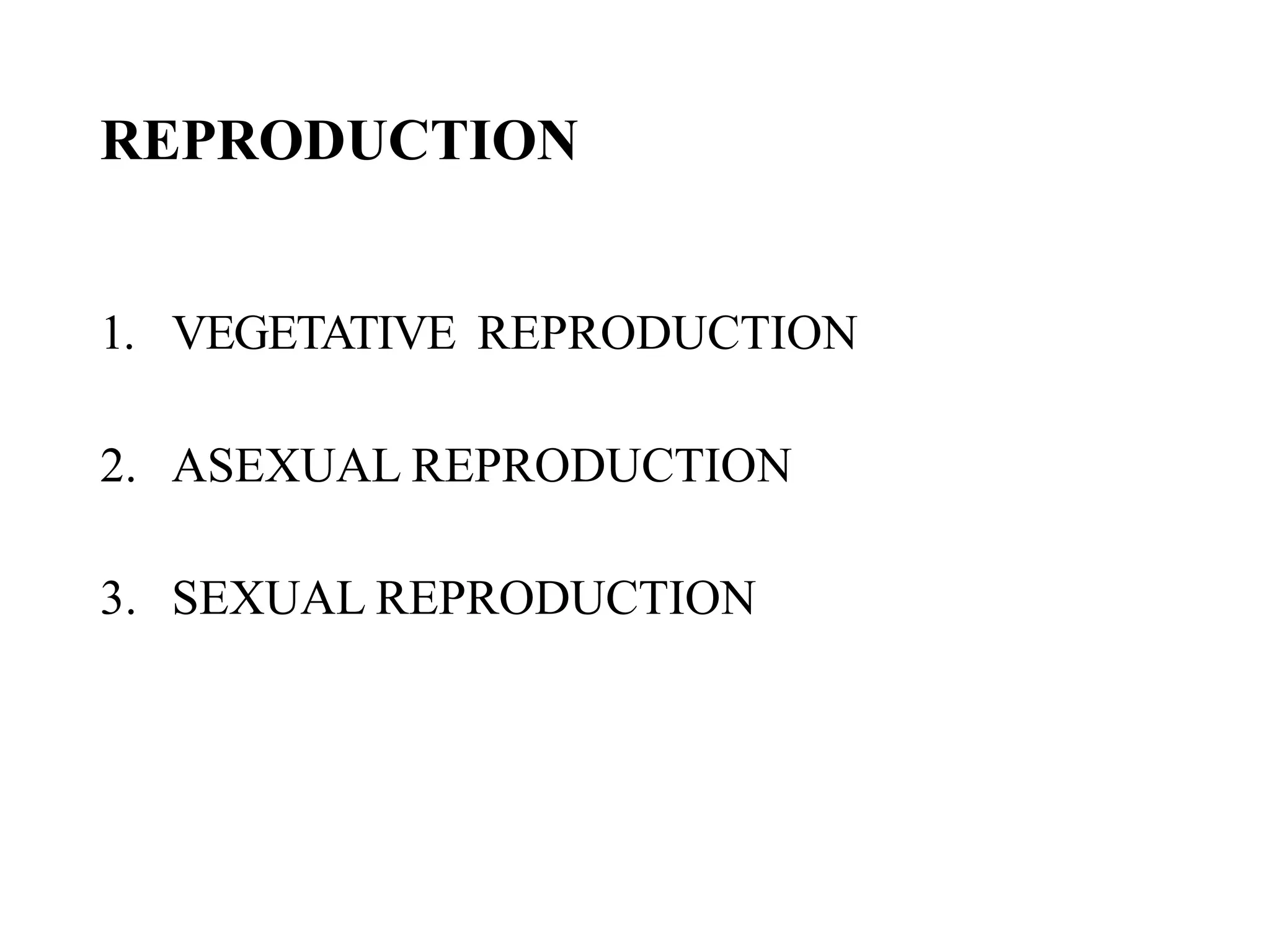 Life Cycle Of Aspergillus Ppt