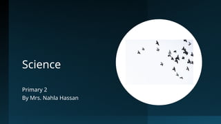 lesson 1 life cycle of birds science primary 2 | PPT