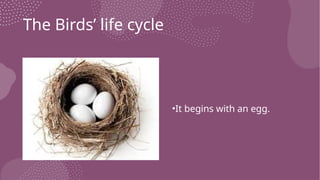 lesson 1 life cycle of birds science primary 2 | PPT