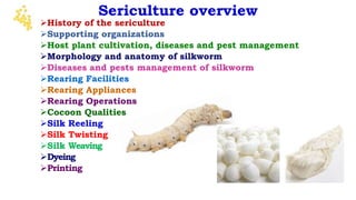 Silkworm Life Cycle Ppt
