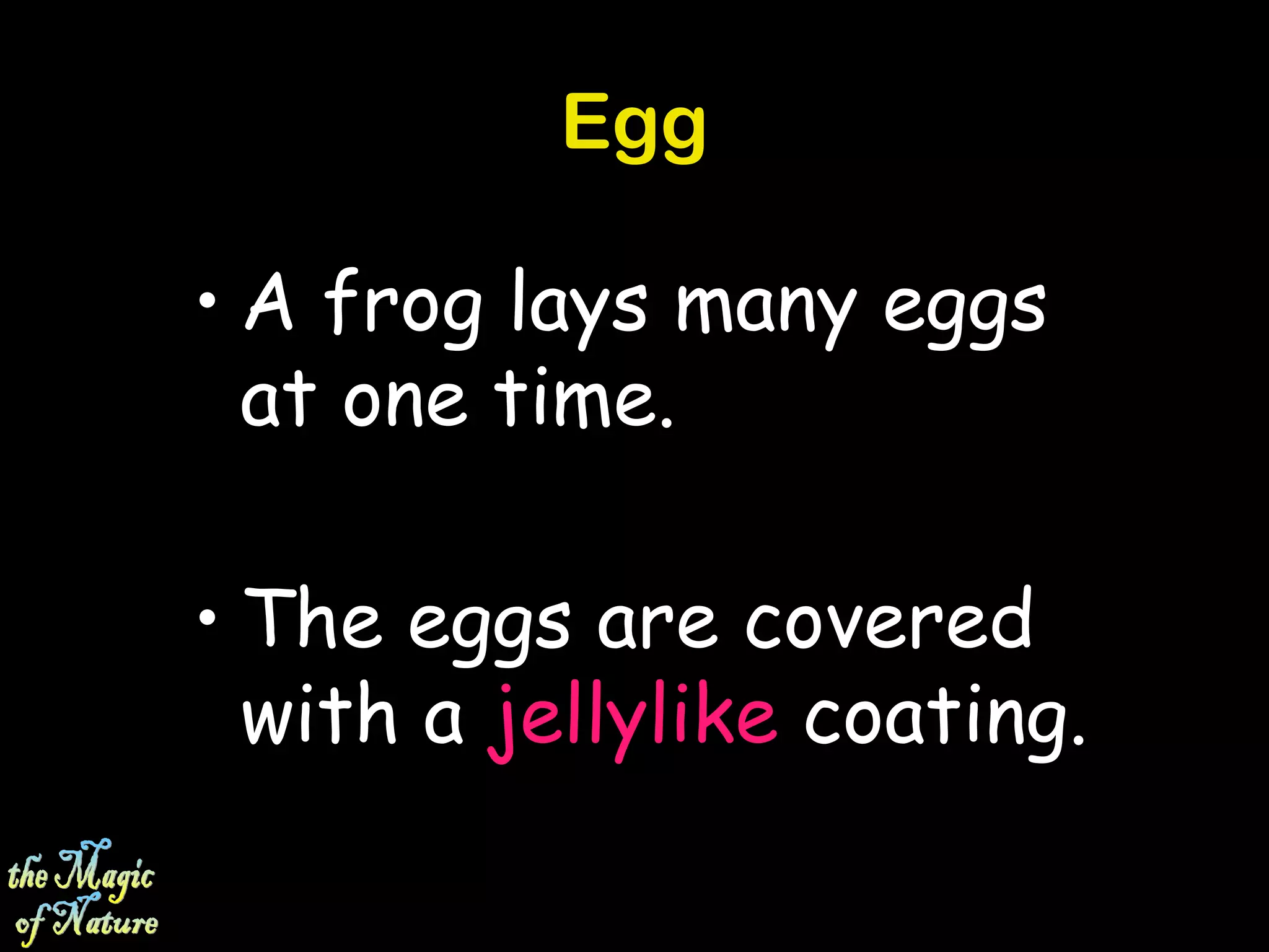 Life Cycle Of Butterlfy& Frog | PPT