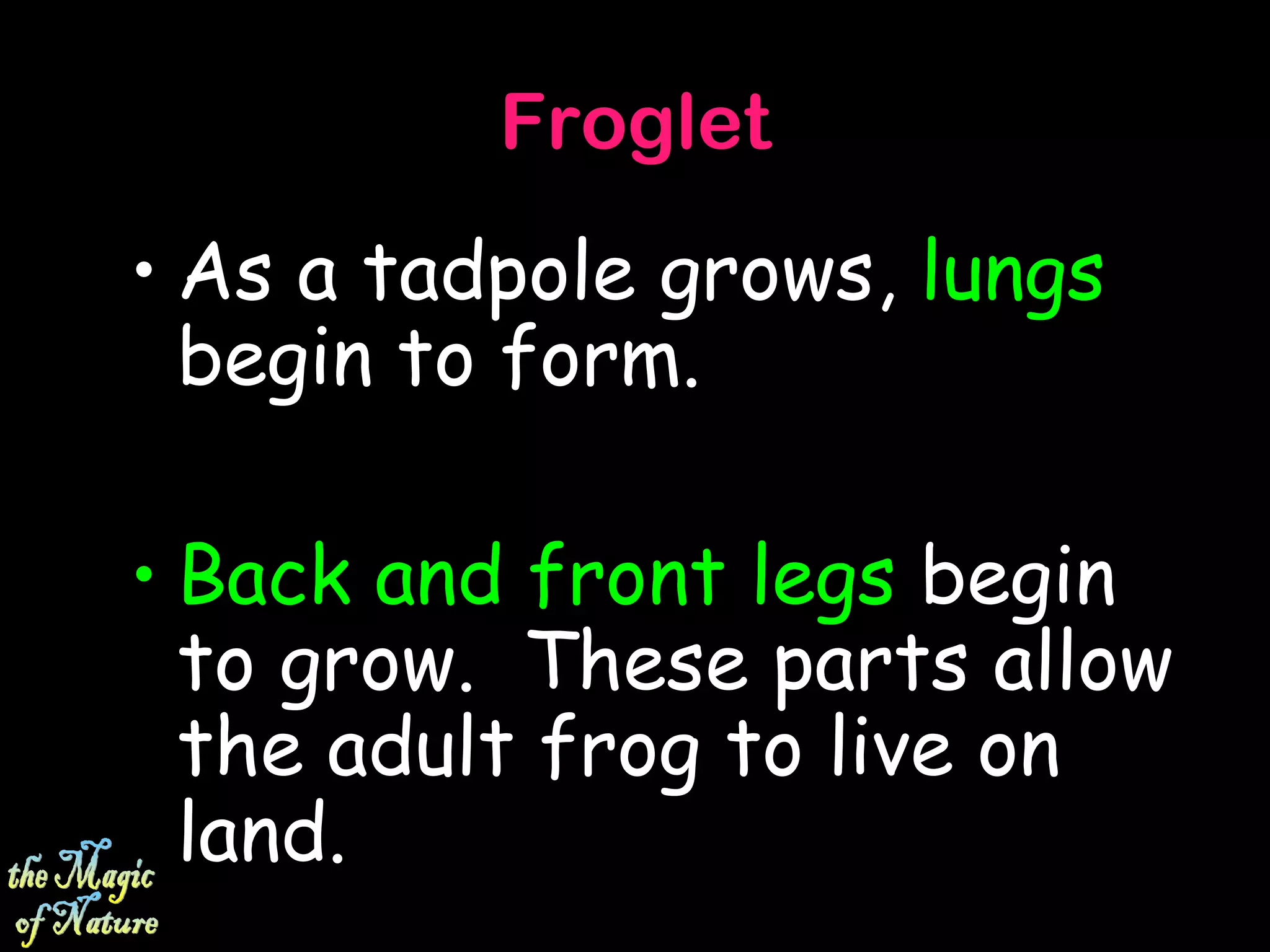 Life Cycle Of Butterlfy& Frog | PPT