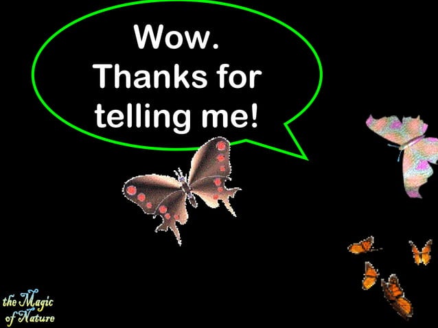 Life Cycle Of Butterlfy& Frog | PPT