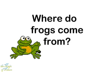 Life Cycle Of Butterlfy& Frog | PPT