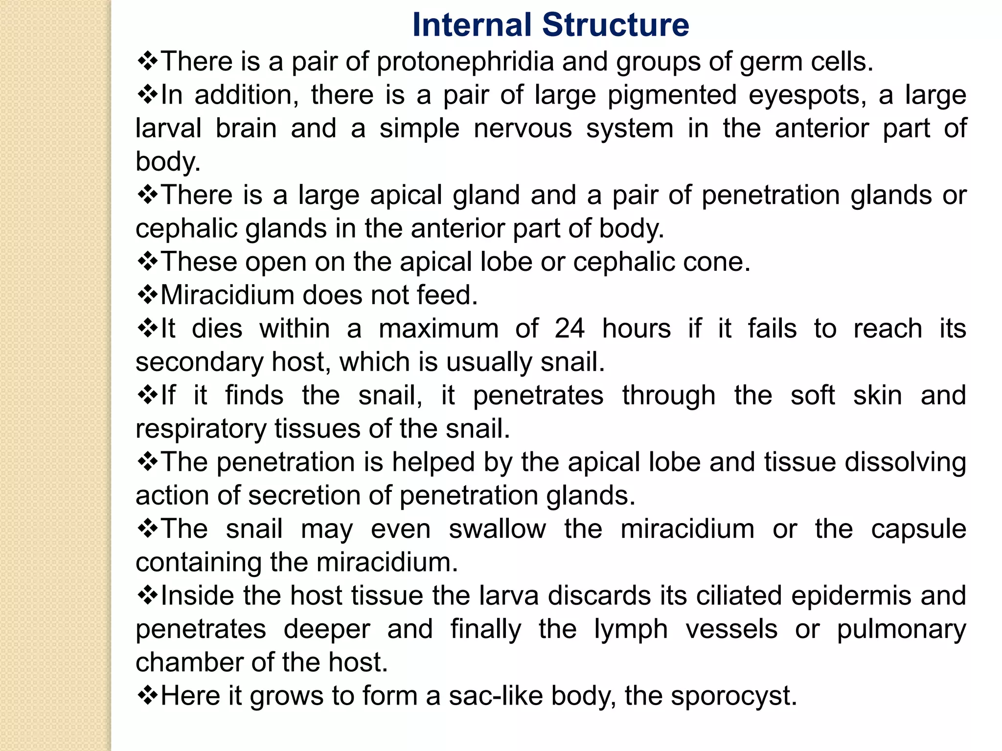 Life cycle of fasciola hepatica:Trematods | PPTX