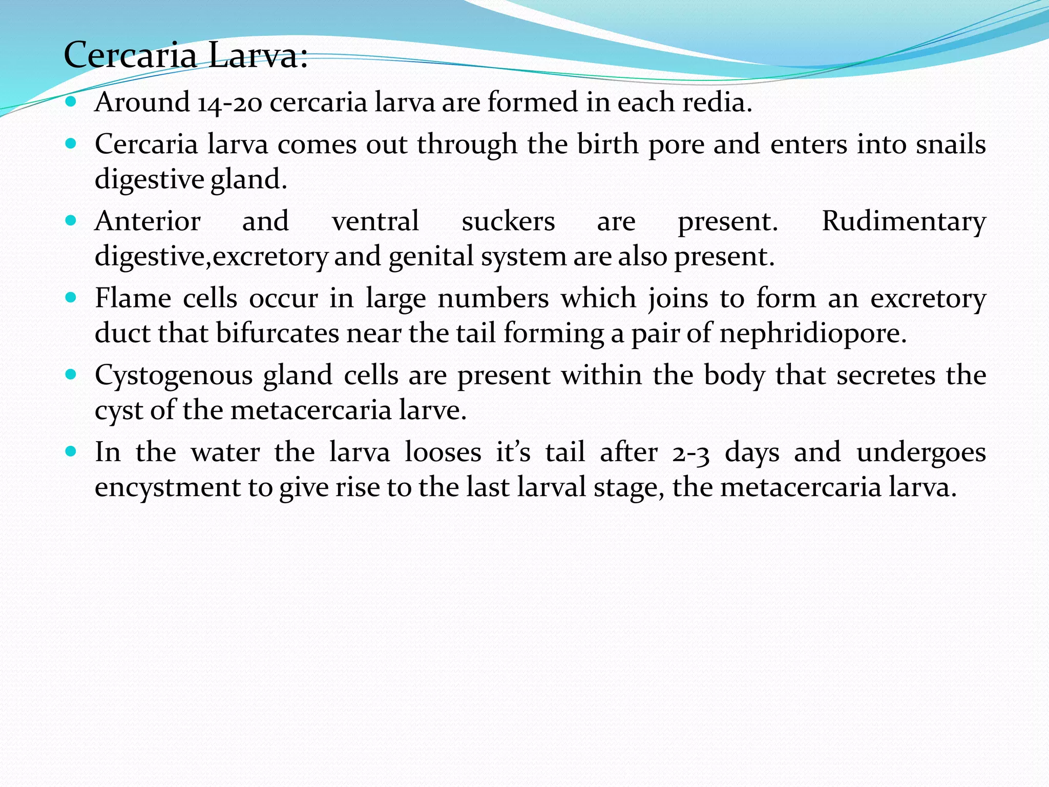 LIFE CYCLE OF FASCIOLA HEPATICA.pptx