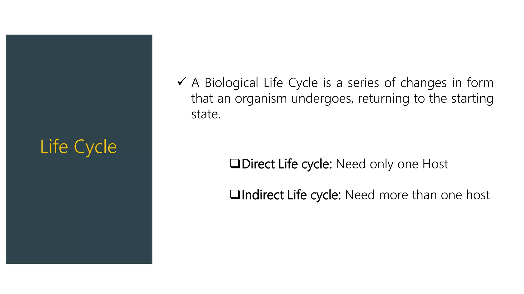Life cycle of fish parasites from each group | PPTX