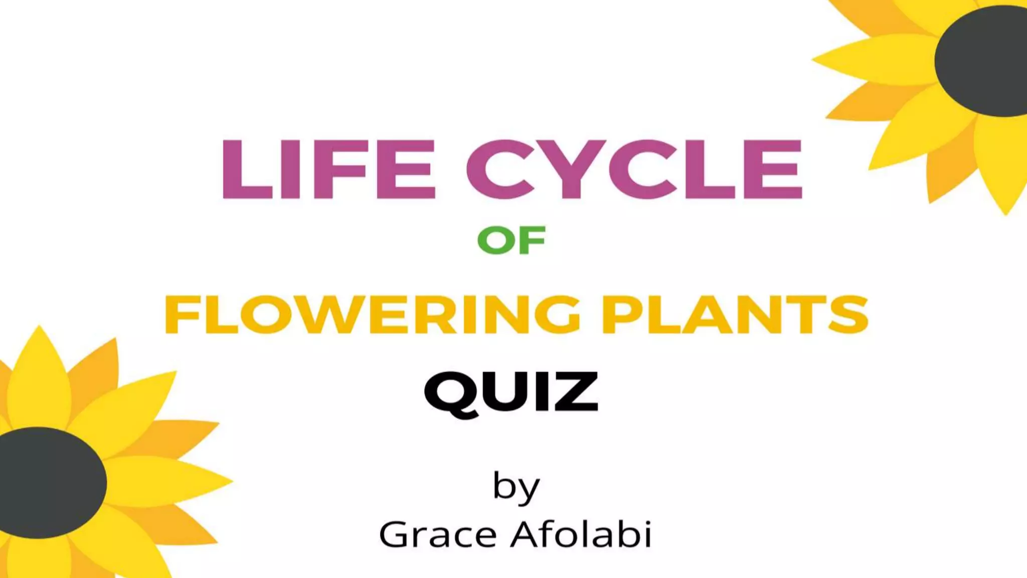 Life cycle of Flowering Plants Quiz | PPTX
