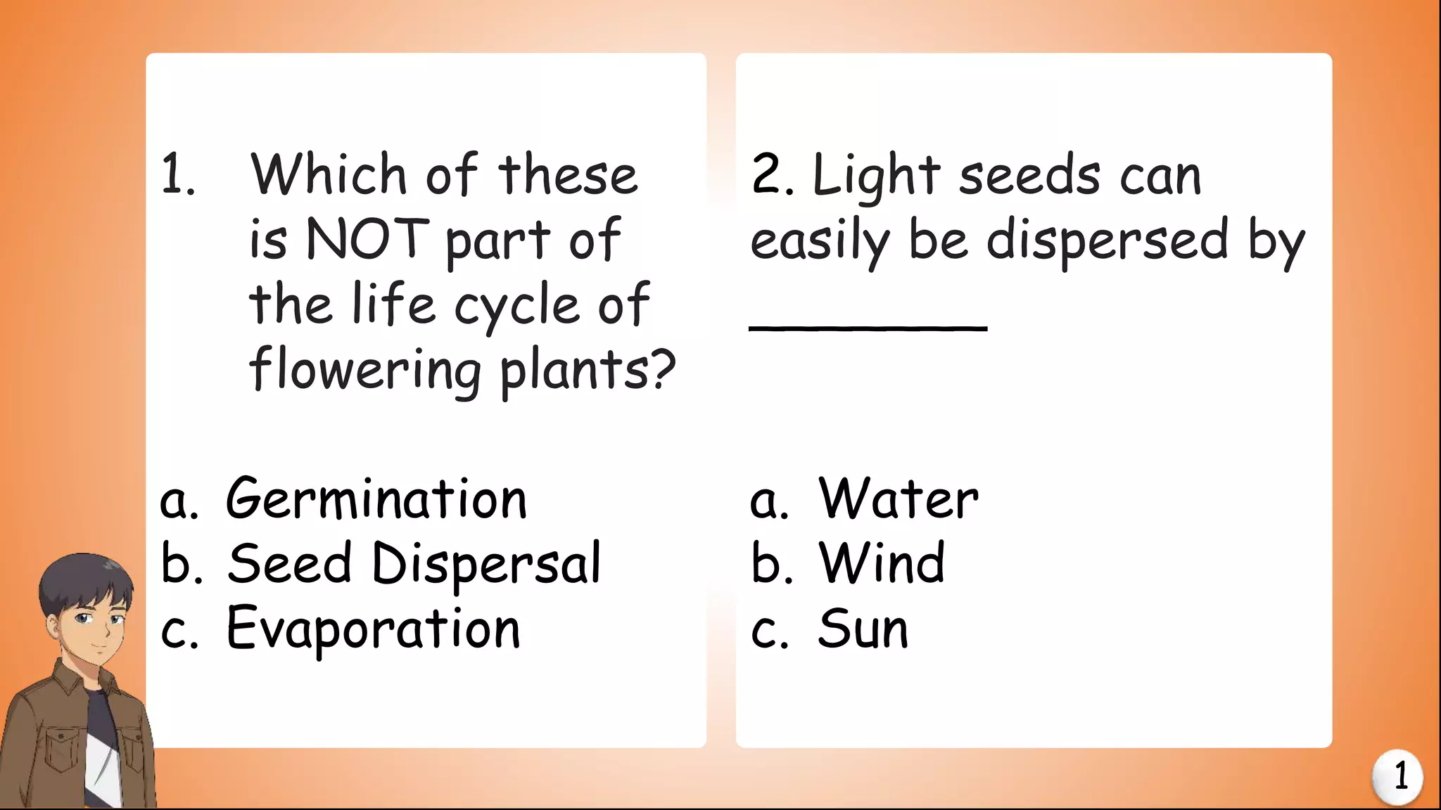Life cycle of Flowering Plants Quiz | PPTX