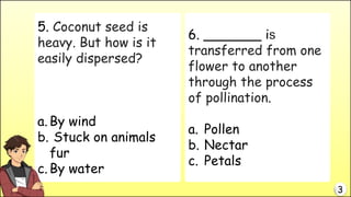 Life cycle of Flowering Plants Quiz | PPTX