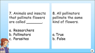 Life cycle of Flowering Plants Quiz | PPTX