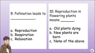 Life cycle of Flowering Plants Quiz | PPTX