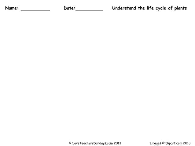 Life cycle of flowering plants (worksheet).pdf